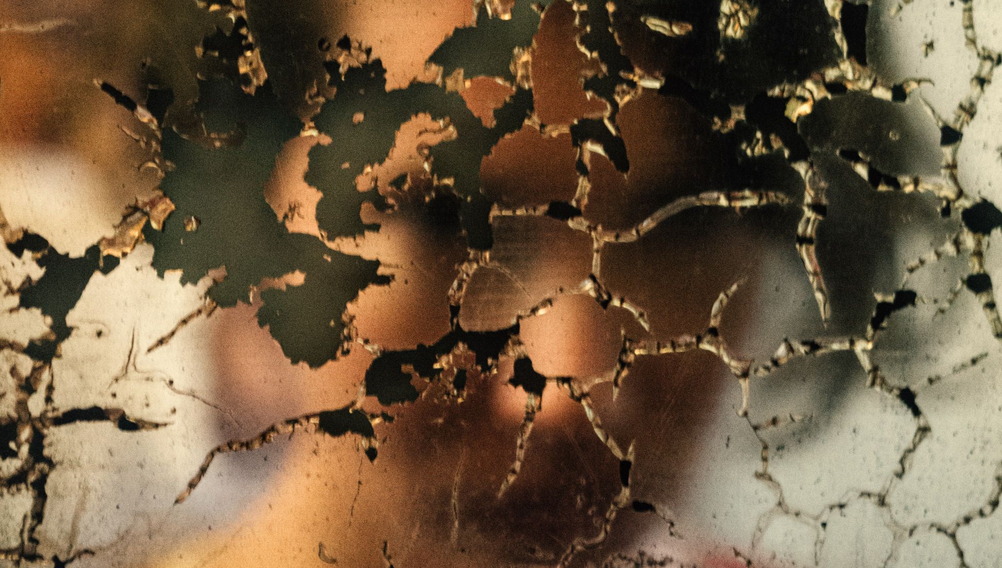 Body dysmorphic disorder is common, yet widely misunderstood | Psyche Ideas