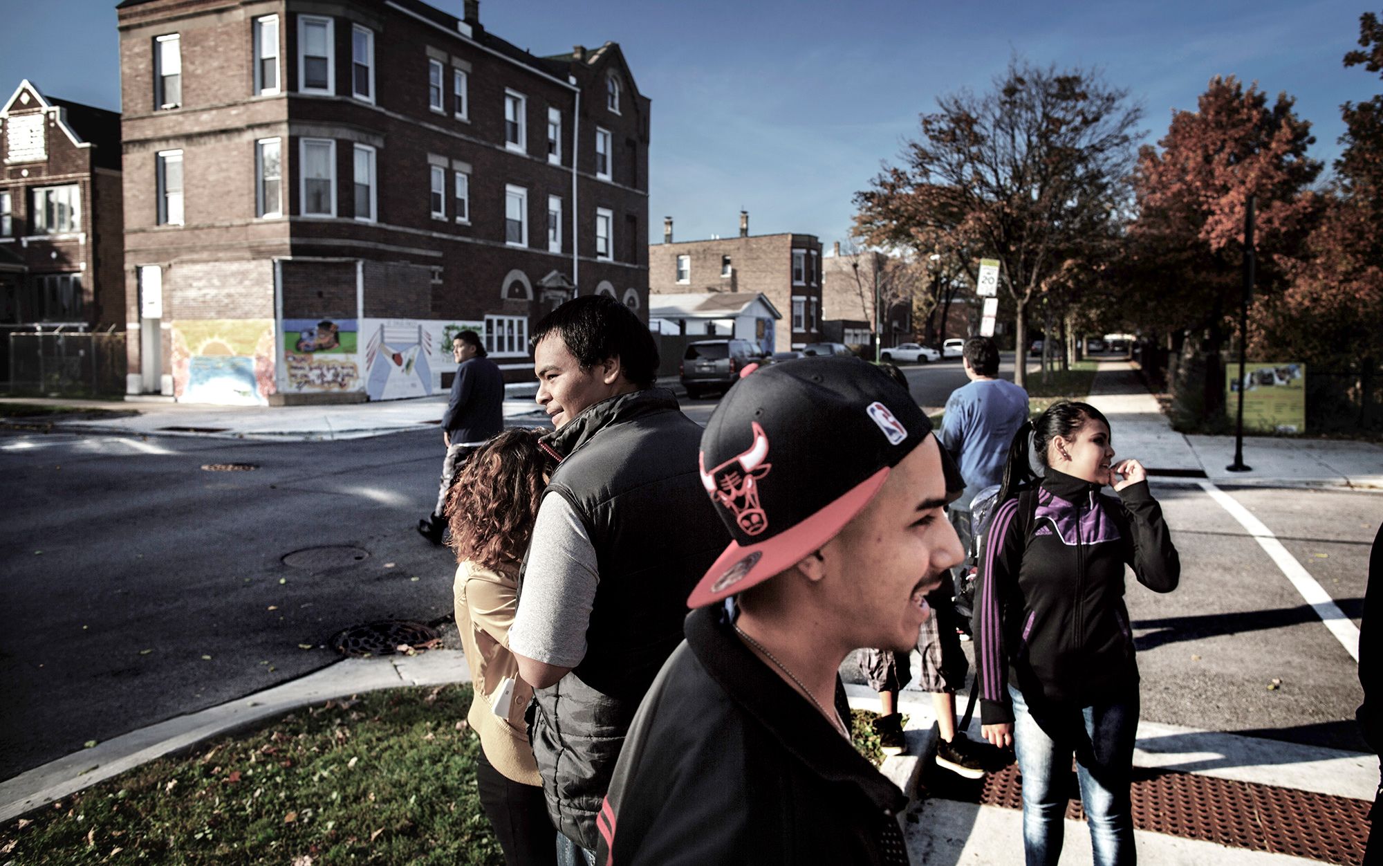 What our use of animal-based slurs and endearments says about us ...