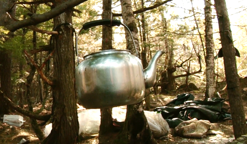 Disturbed loner? Gentle recluse? Opinions on an infamous Maine hermit ...