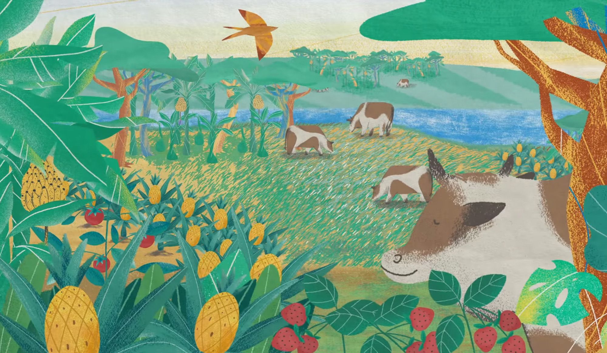 Producing food while restoring the planet – a glimpse of farming in the ...